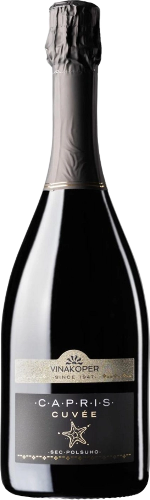 Vino Capris Cuvee peneče Vinakoper 3 l | Drinx.si