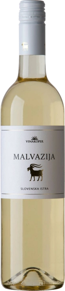 Vino Malvazija Gourmet Vinakoper 0,75 l | Drinx.si